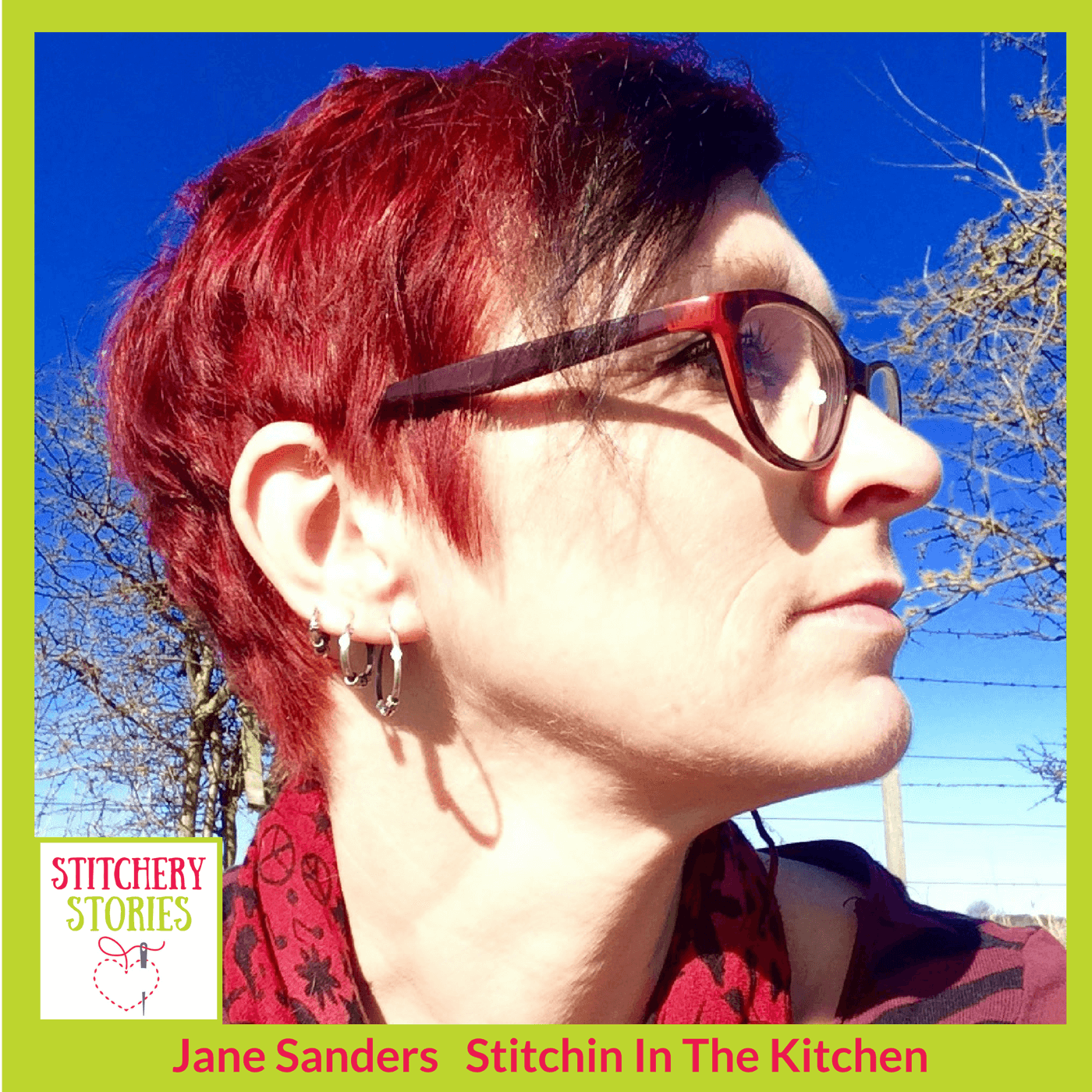 Jane Sanders: Textile Portraits Of Iconic Pop Stars - Stitchery Stories ...